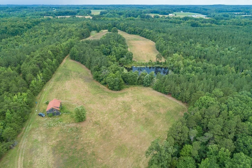 110.3 Acres, 1075 East Orgainsville Road, Skipwith, VA 23968 | Land and ...