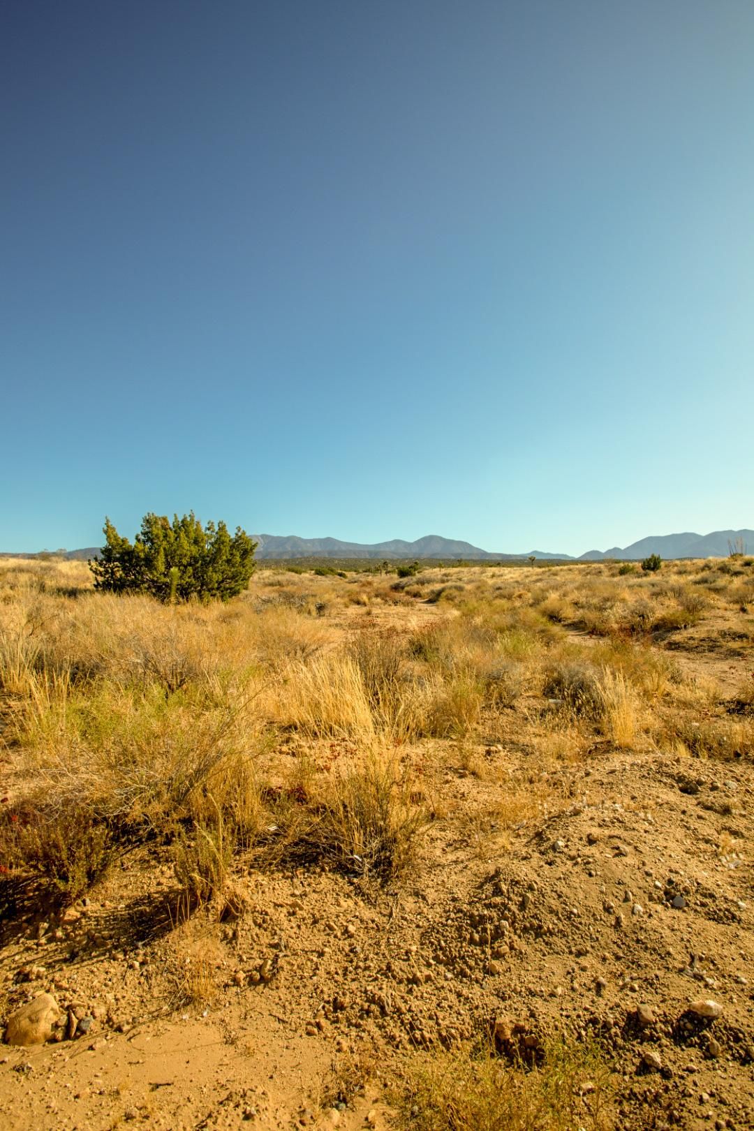 Fort Tejon Road, Llano, CA 93544 | Land and Farm