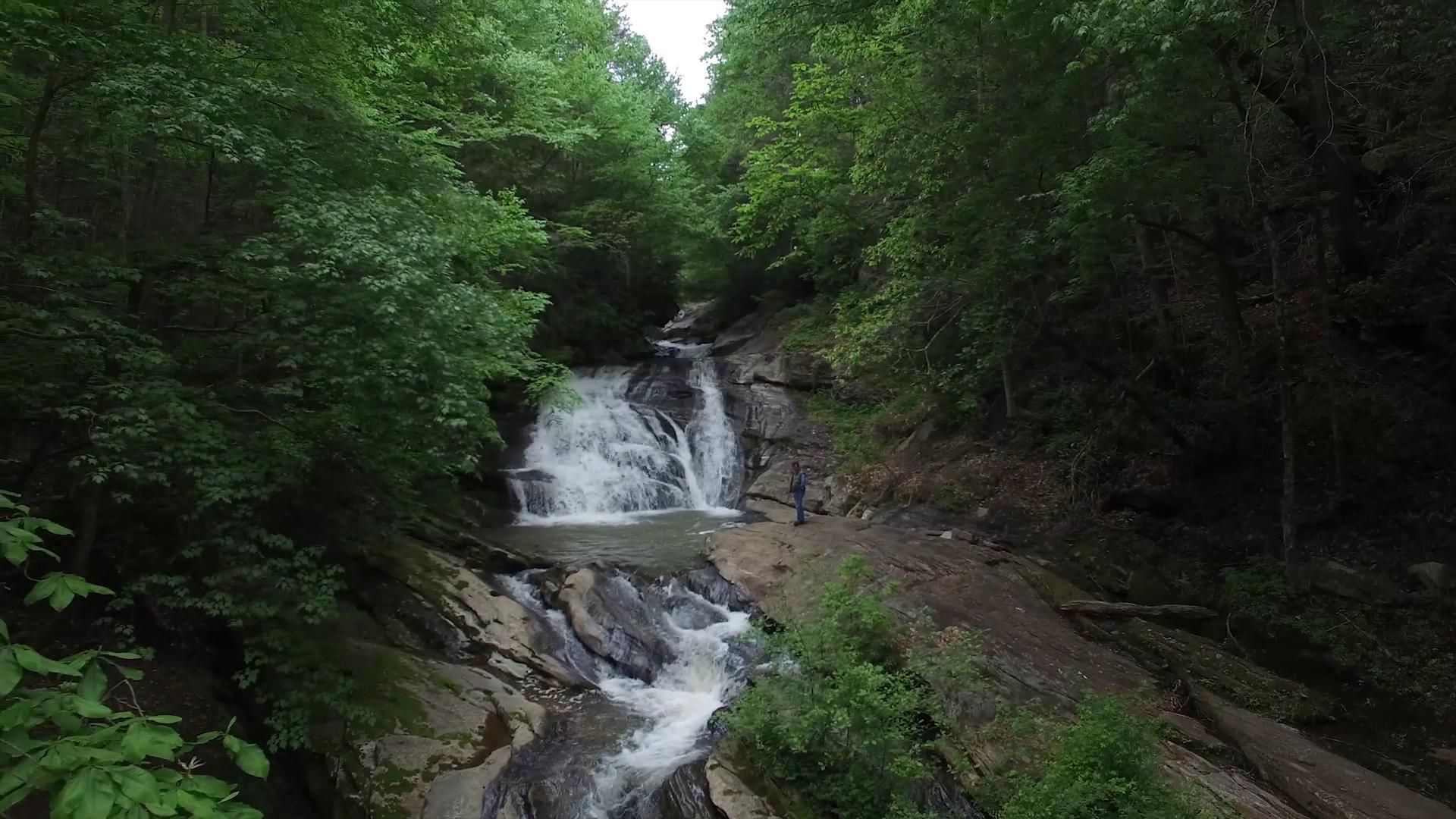 2,500 Acres, 295 Green Ridge Rd, Deep Gap, NC 28618 | Land and Farm