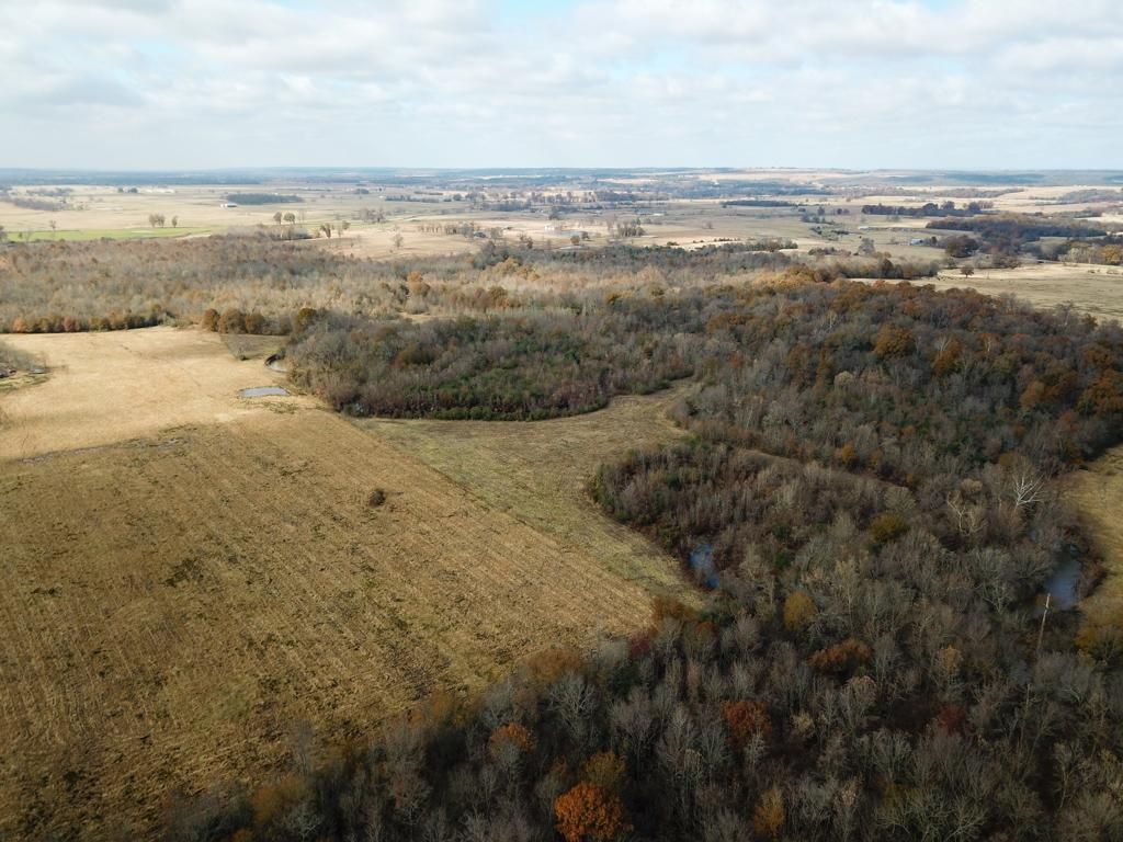 TBD, Ratcliff, AR 72951 | MLS: Franklin 193 | Land and Farm