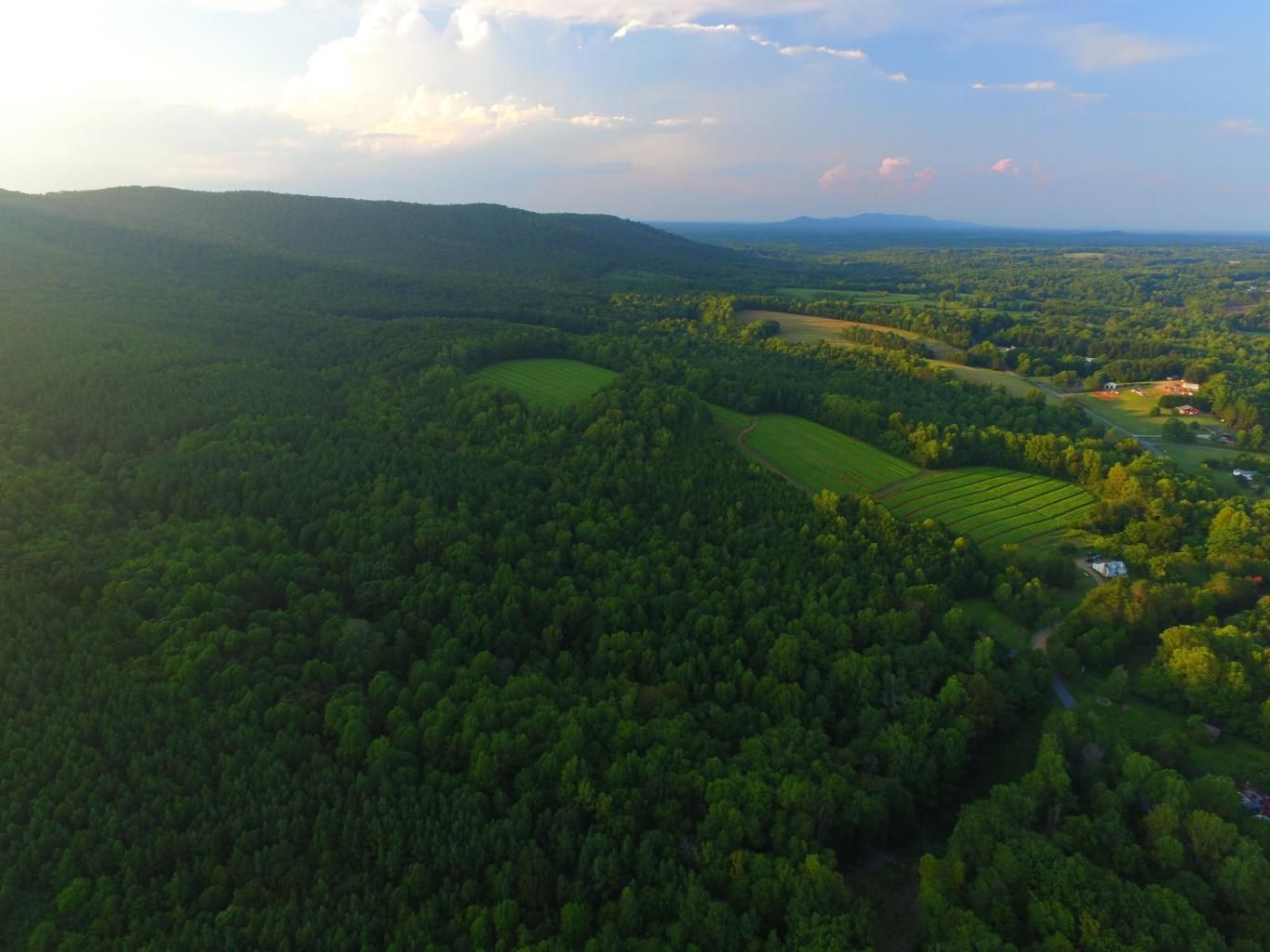 Mountain Dr, Callands, VA 24530 | MLS: 862514 | Land and Farm