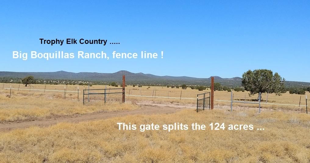 124 acres in Williams, AZ, 86046 | Land and Farm