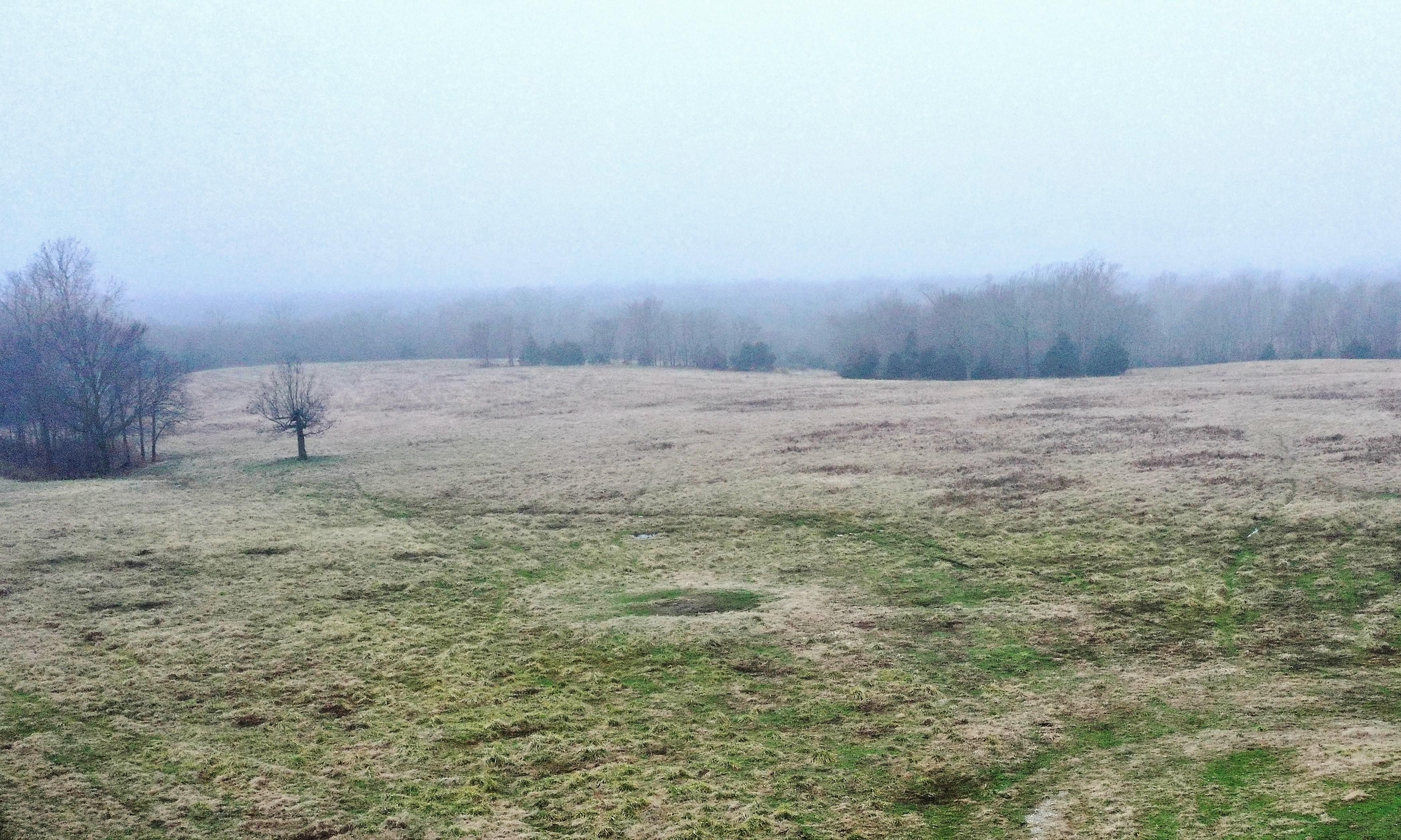 East 570, Rose, OK 74364 | MLS: 2001310 | Land and Farm