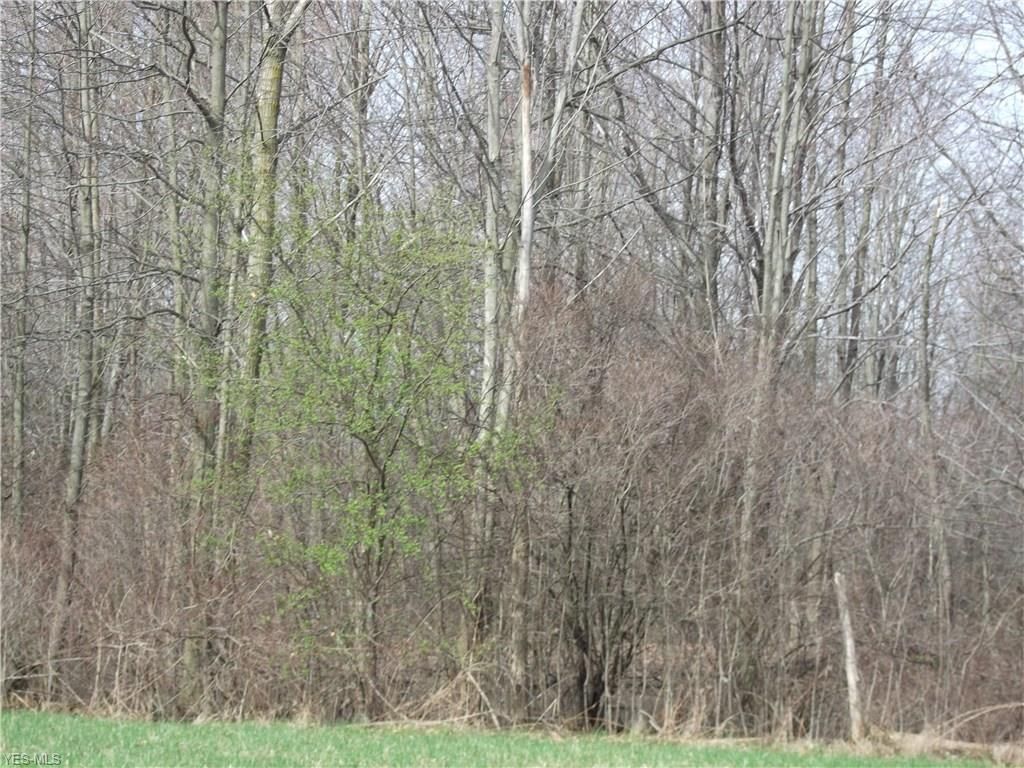 50 Acres, 6160 State Route 45, Lordstown, OH 44481 | Land and Farm