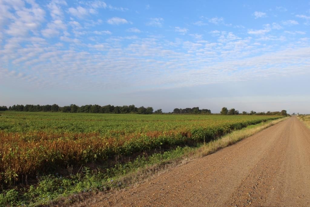 45.73 Acres, Co Rd 488, Steele, MO 63877 | Land and Farm