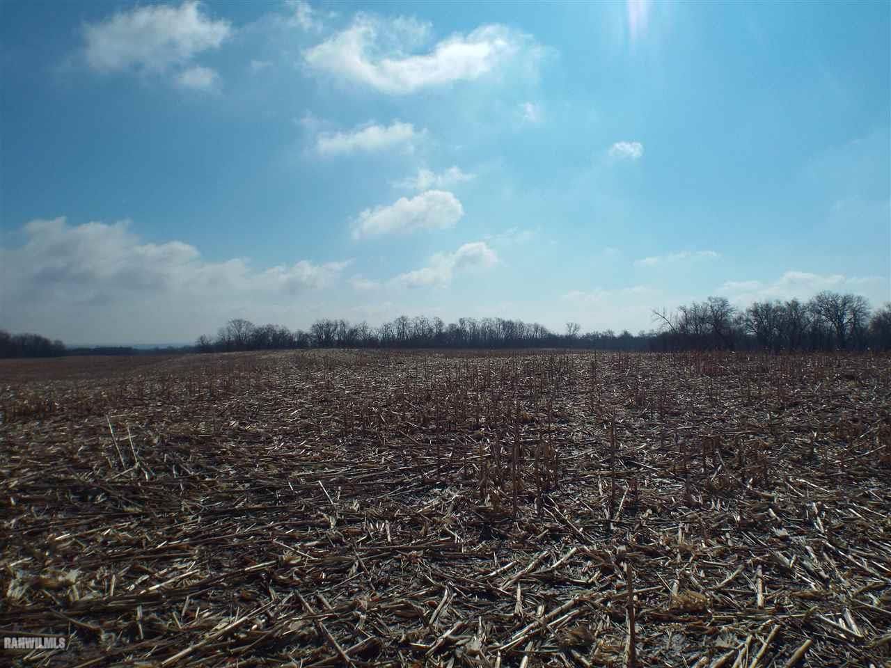 130 Acres, Tbd Patch, Gratiot, WI 53541 | Land and Farm