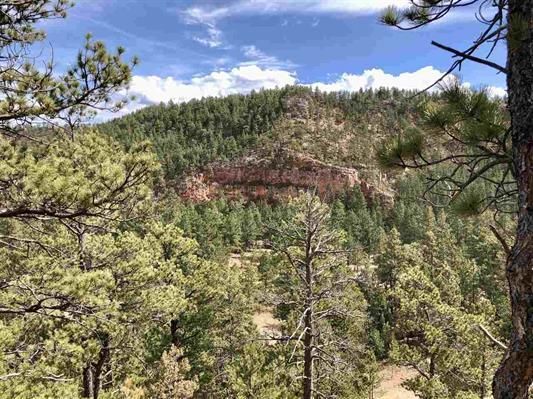 Farmer Rd, Hot Springs, SD 57747 | MLS: 70466 | Land and Farm