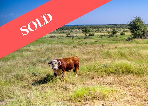 U.S. Hwy 83, Menard, TX 76859 | Land and Farm