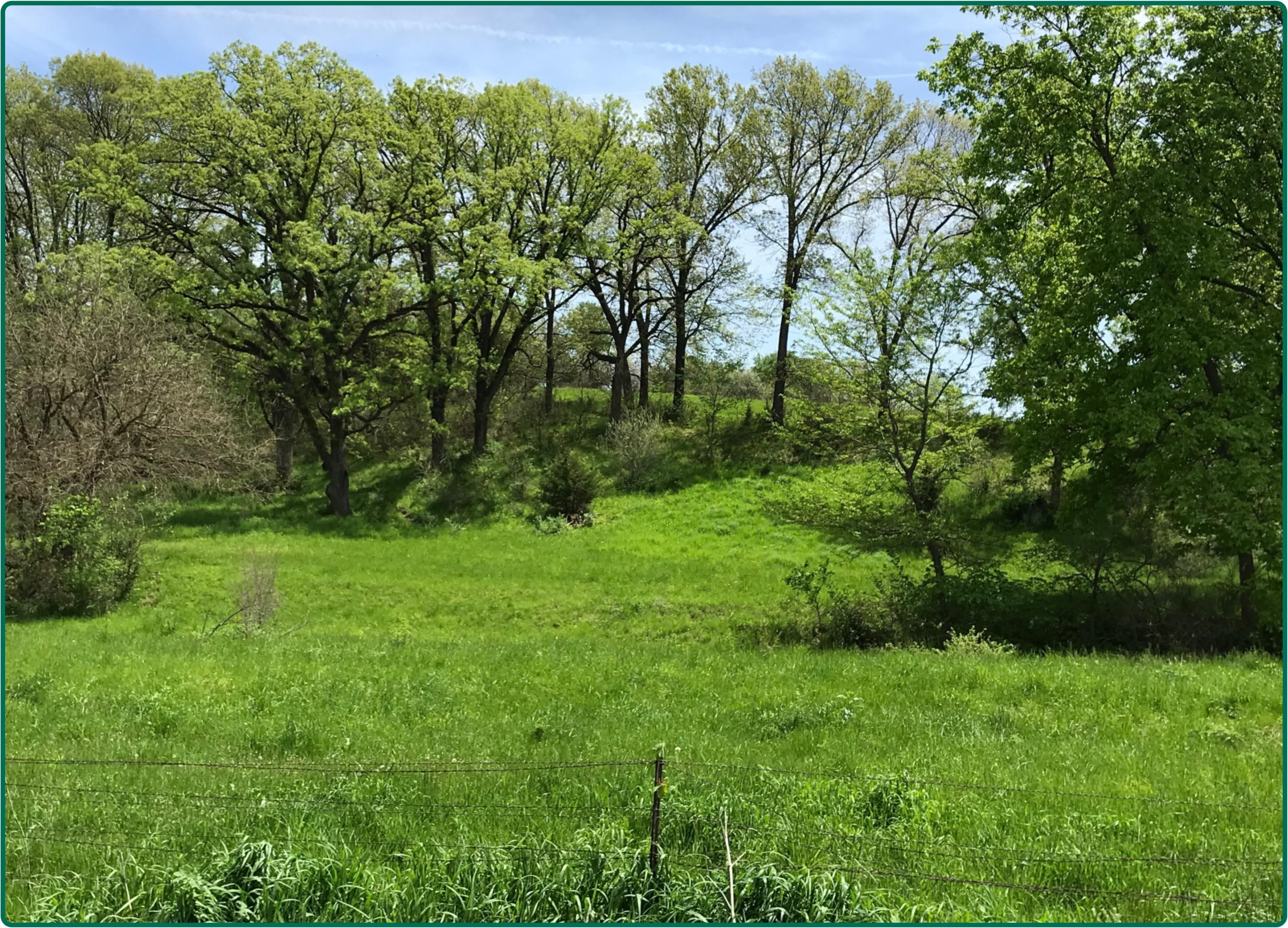 Ward Ave, Blue Grass, IA 52726 | Land and Farm