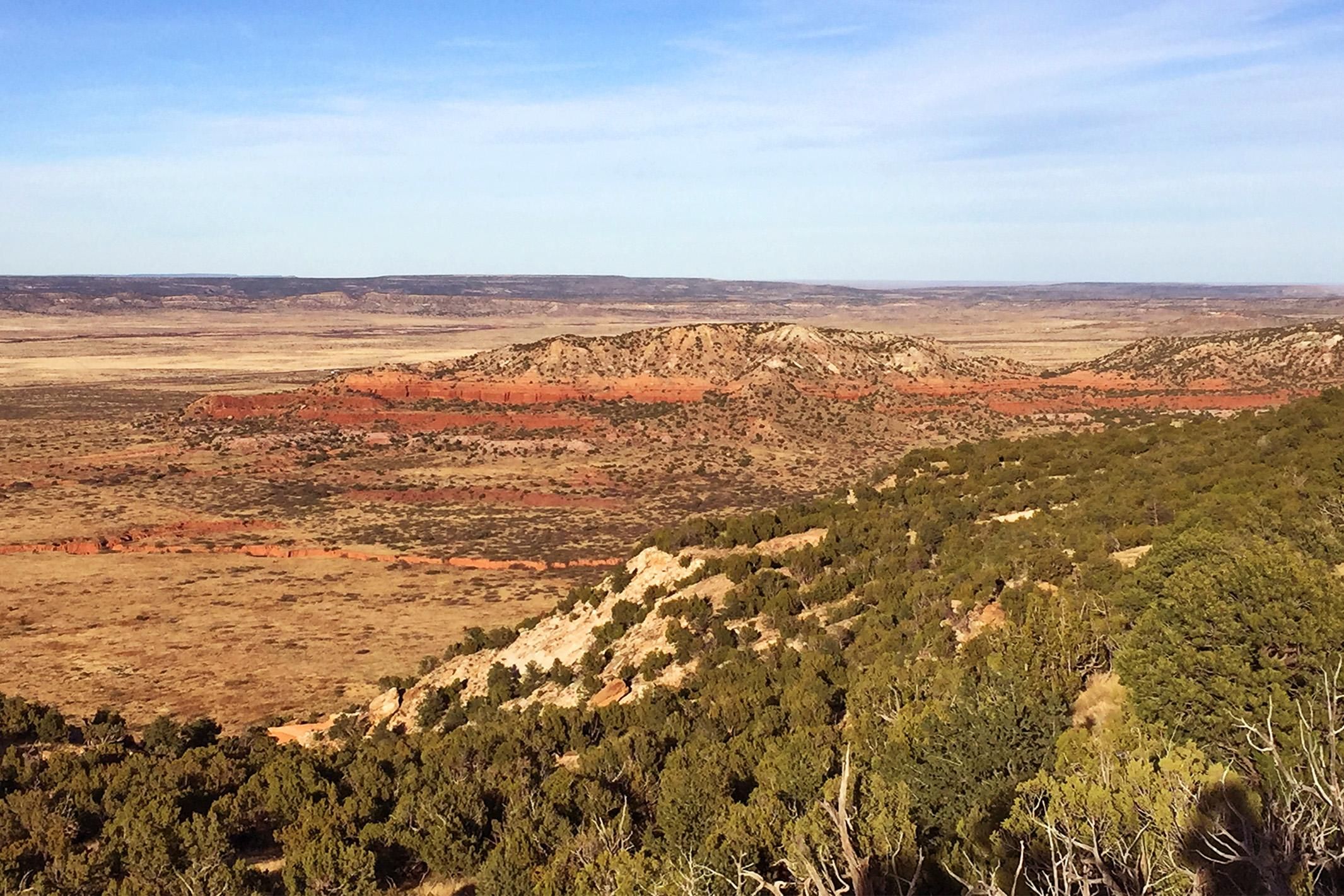 11,831.44 acres in Santa Rosa, NM, 88435 | Land and Farm