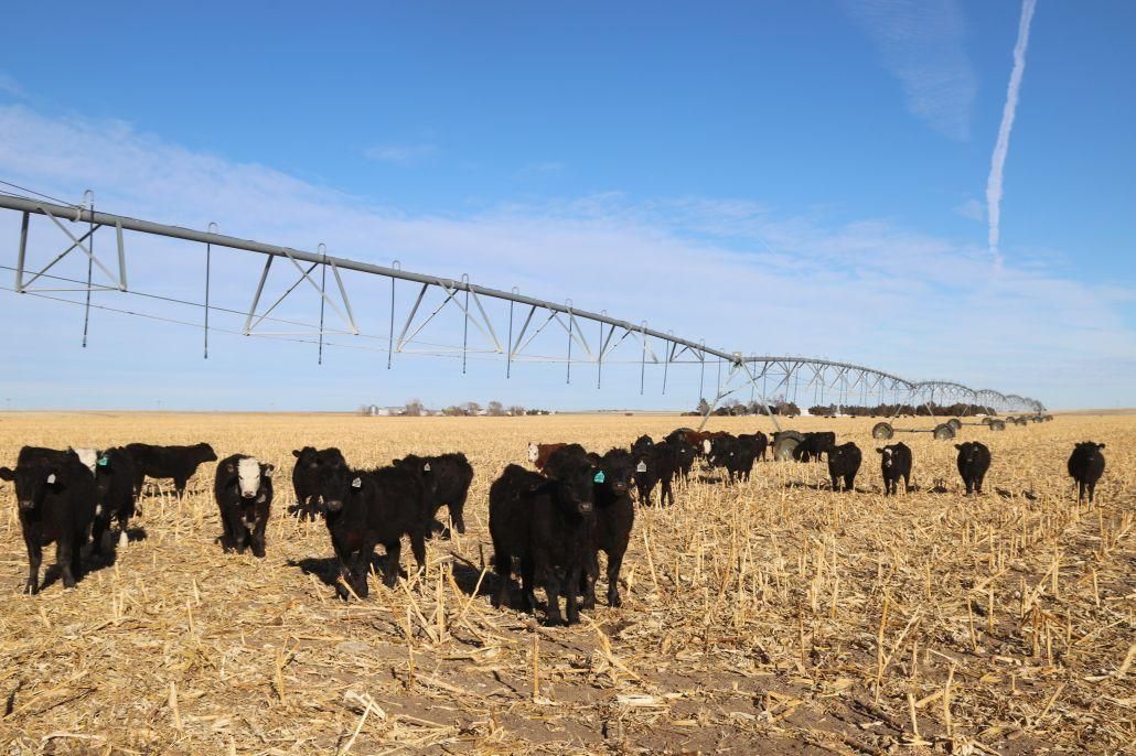 330 Acres, Yuma, CO 80759 | Land and Farm