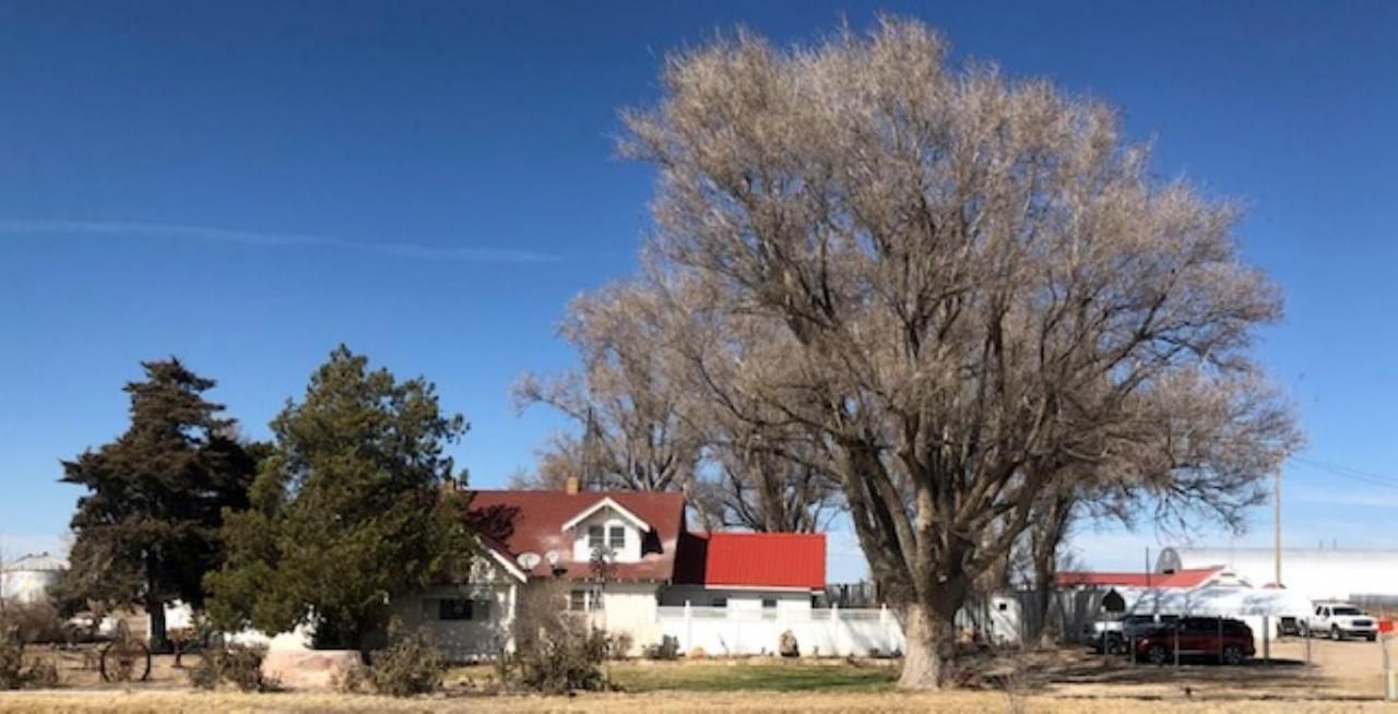 414 Hwy 50, Kendall, KS 67857 | Land and Farm