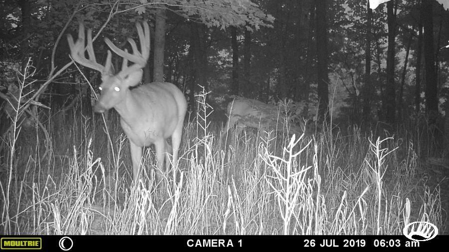 Shinkles Ridge Road, Lot#WP001, Georgetown, OH 45121 | Land and Farm