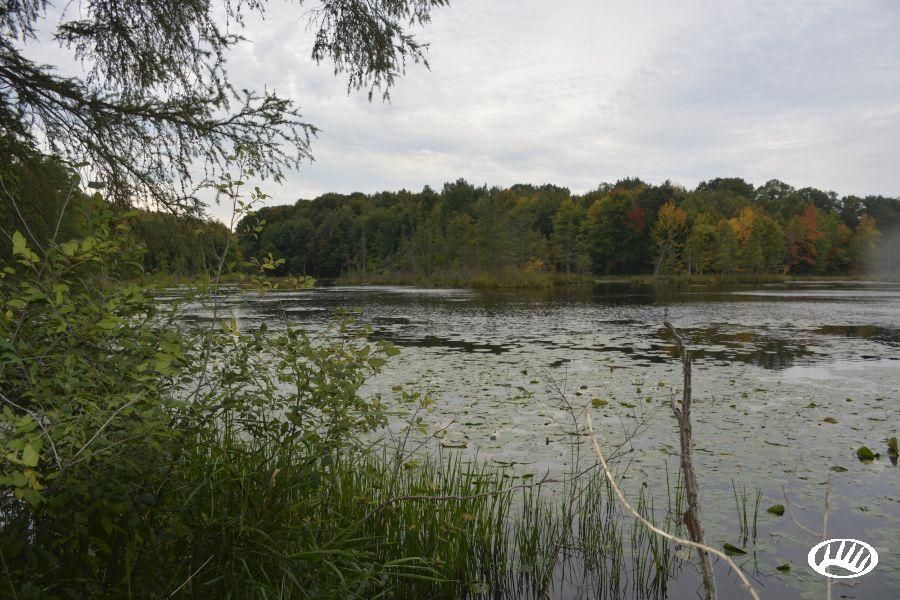 215th Ave, lot#WP001, Eureka, WI 54963 | Land and Farm