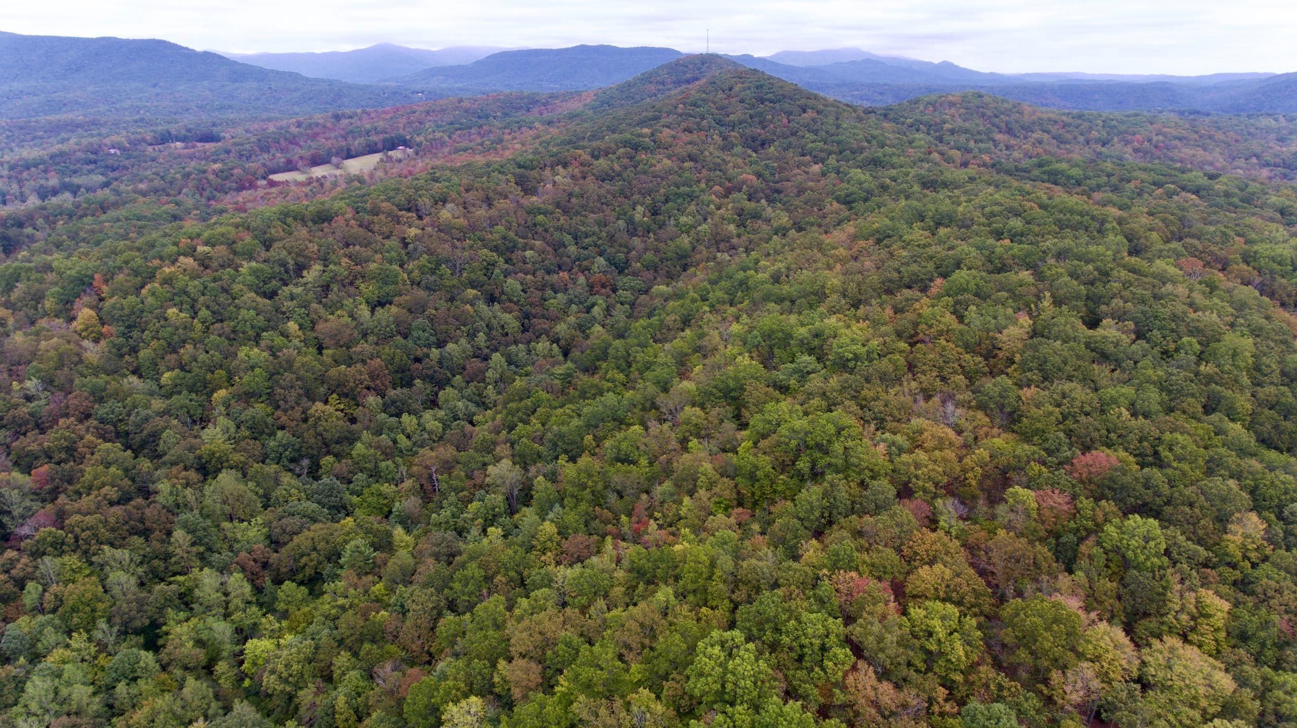 Reynolds Road, Lot#WP01, Oakdale, TN 37829 | Land and Farm