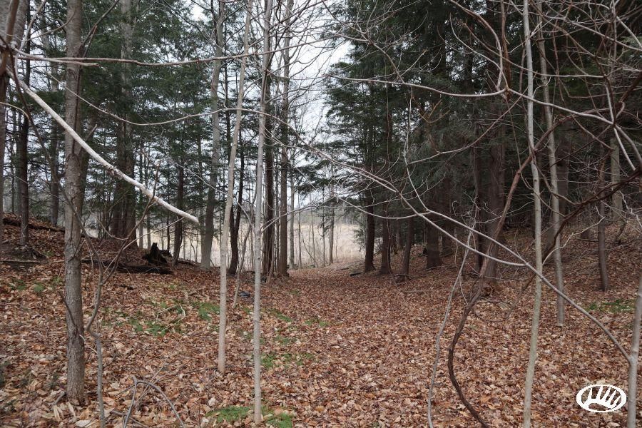 Rte 83, Lot#WP001, Arkwright, NY 14603 | Land and Farm