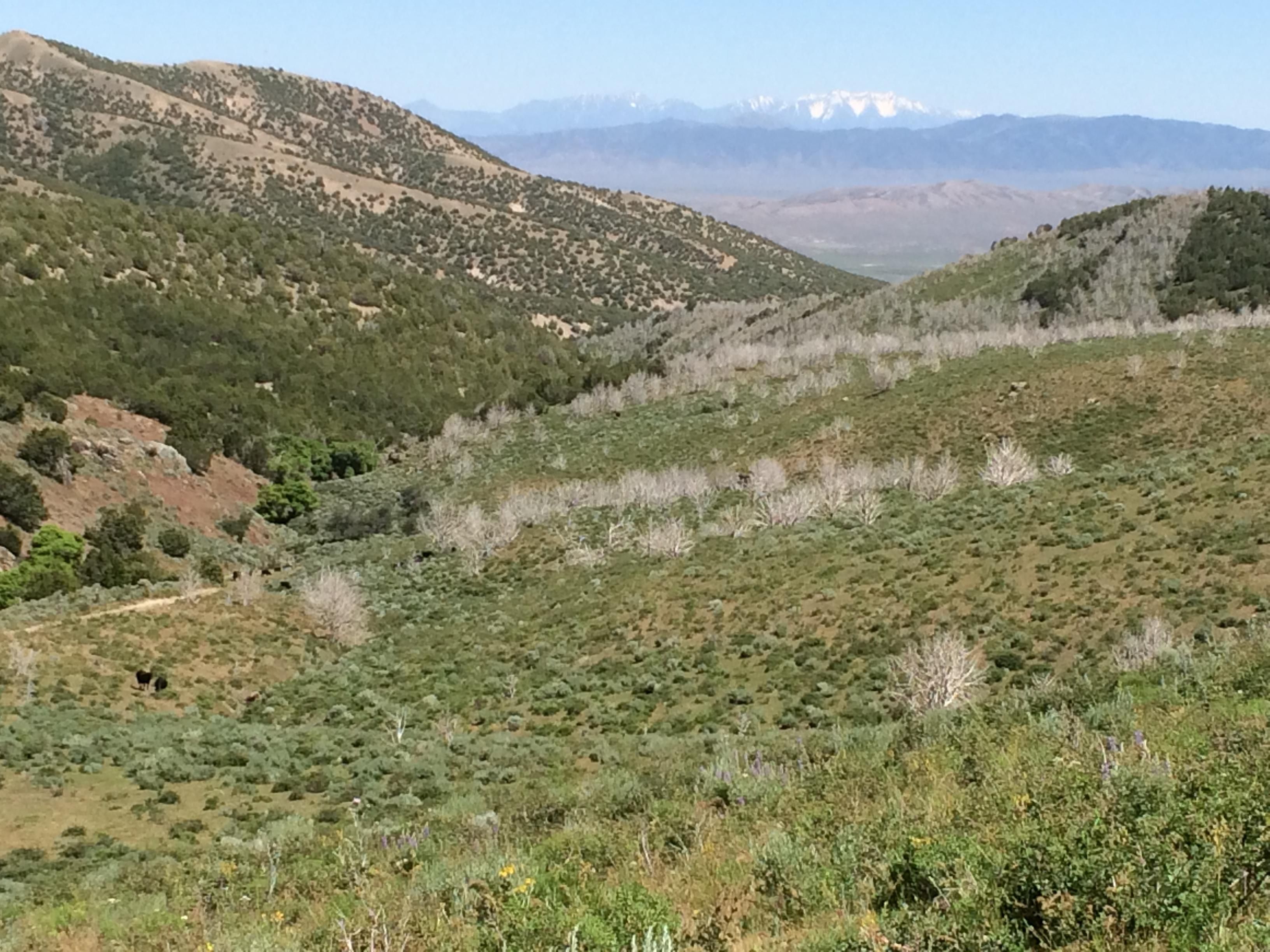 80 acres in Faust, UT, 84080 | Land and Farm