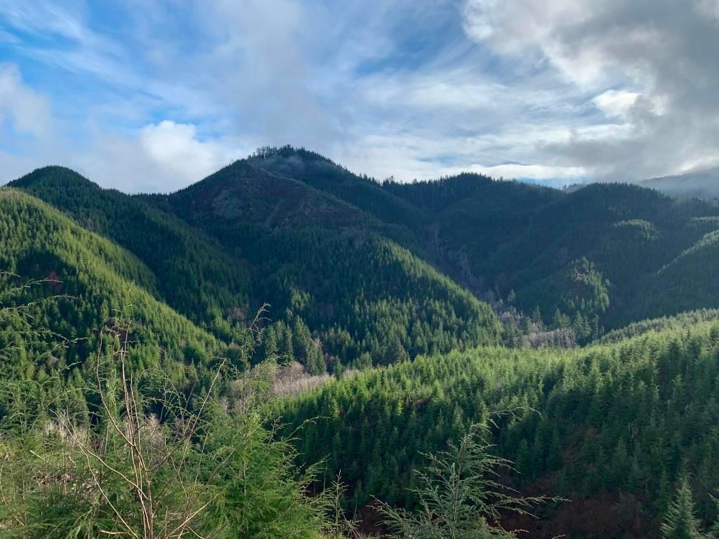 24 acres in Blachly, OR, 97412 | Land and Farm