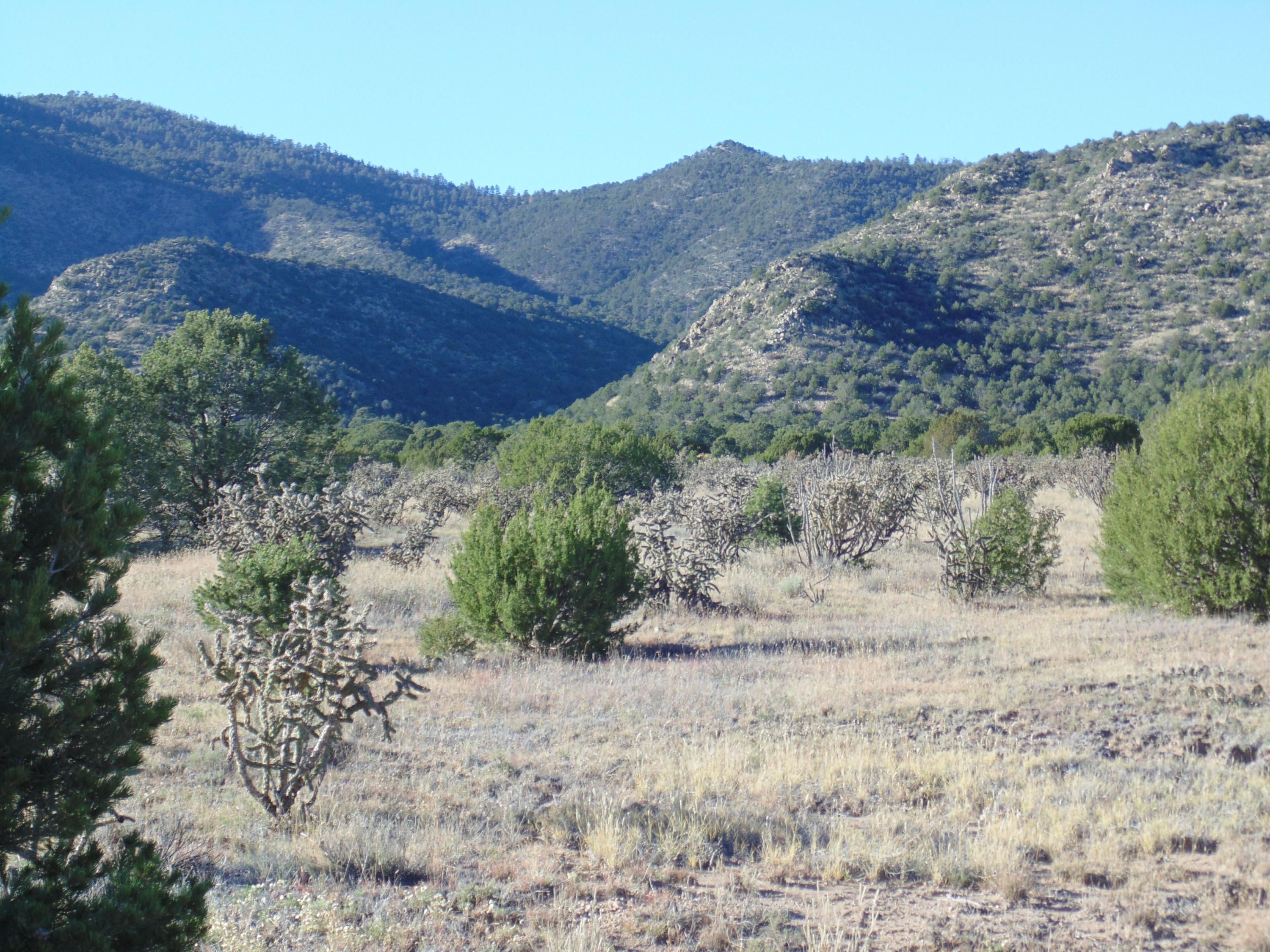 15 Acres, 0 Sandoval Road, Edgewood, NM 87015 | Land and Farm