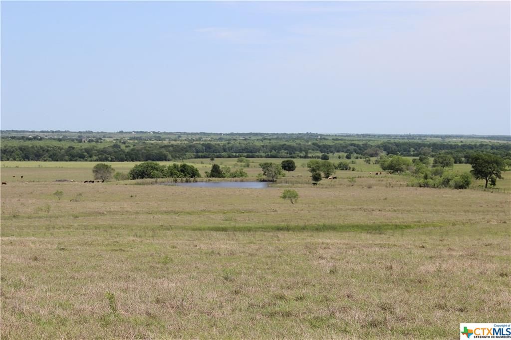 31.75 Acres, 31.14 Acres FM 2001, Lockhart, TX 78644 | Land and Farm