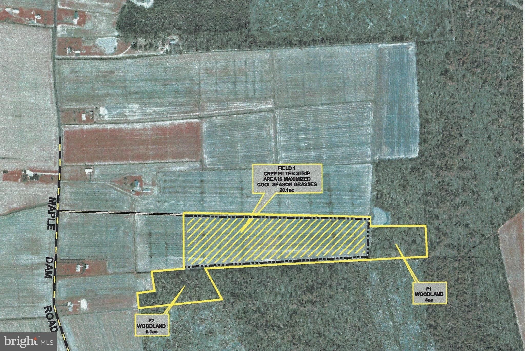 30.17 Acres, MAPLE DAM ROAD, Cambridge, MD 21613 | Land and Farm