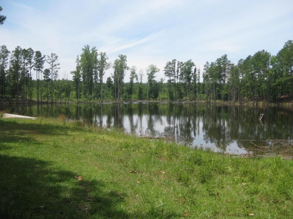 off Maybinton Road, Whitmire, SC 29178 | Land and Farm