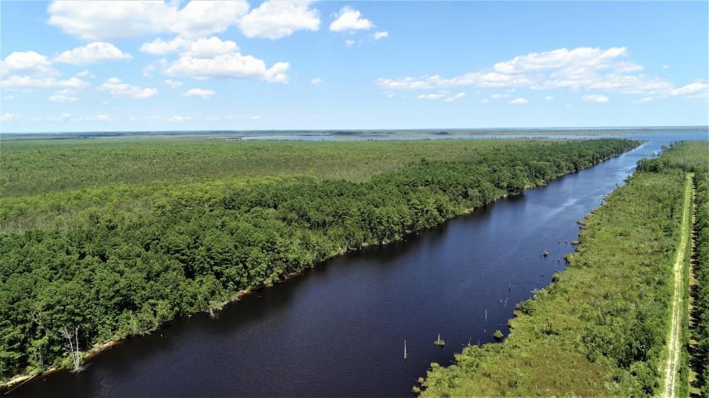 8,263 Acres, O 8th Avenue, Fairfield, NC 27826 | Land and Farm