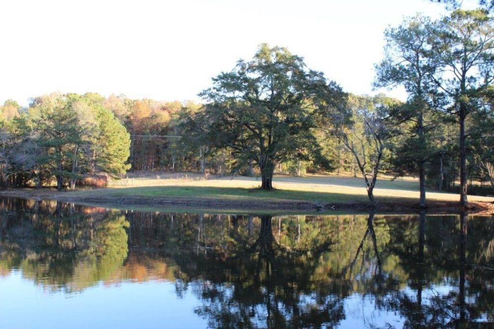 0 Long Road, Grady, AL 36036 | Land and Farm