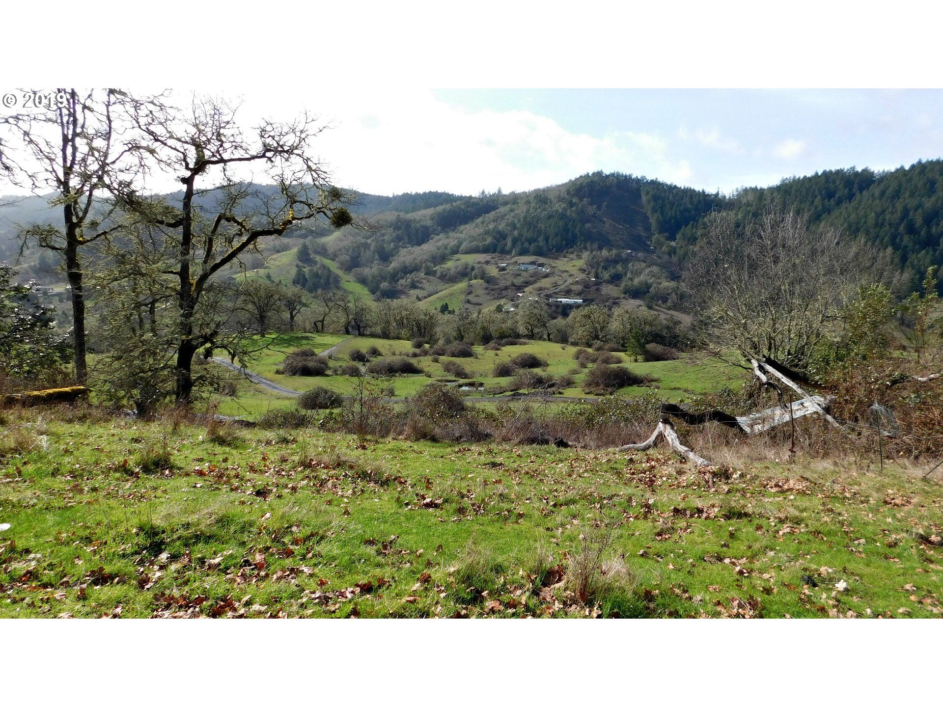 169.31 Acres, 0 WILLIS CREEK RD, Winston, OR 97496 | Land and Farm