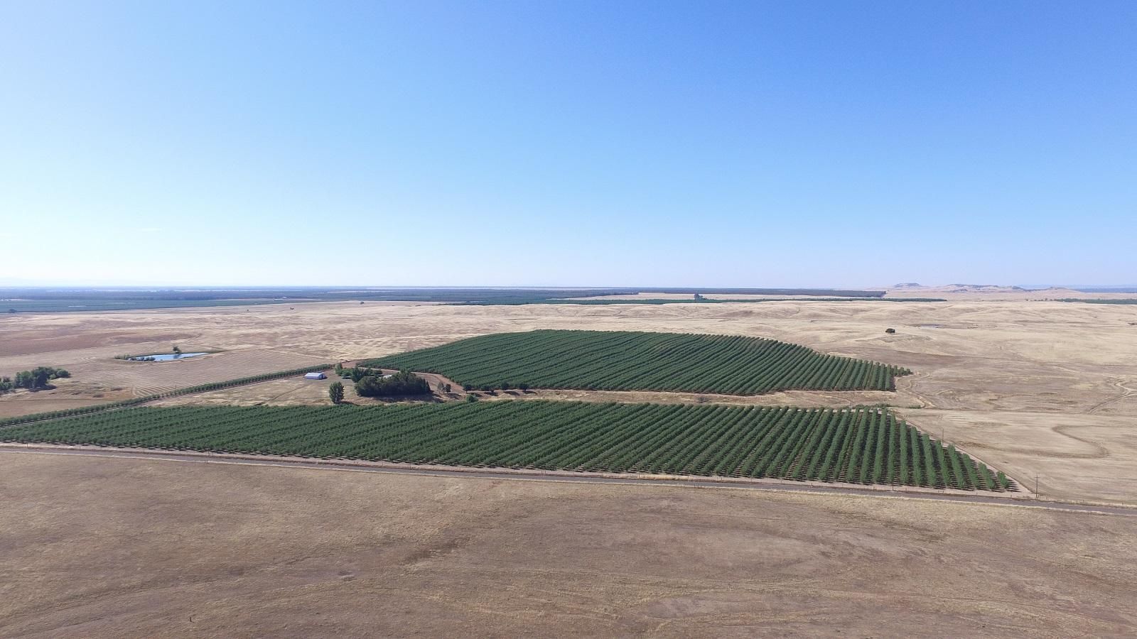 00 Corning Road, Corning, CA 96021 | Land and Farm