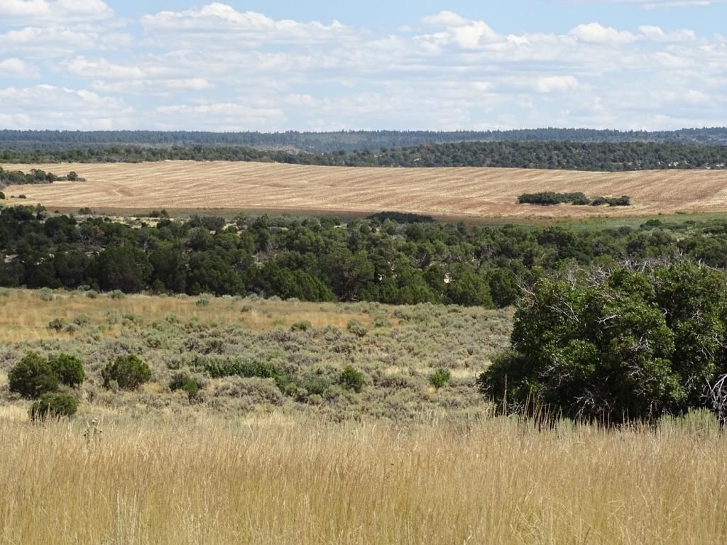 TBD County road 17.5, Pleasant View, CO 81331 | Land and Farm