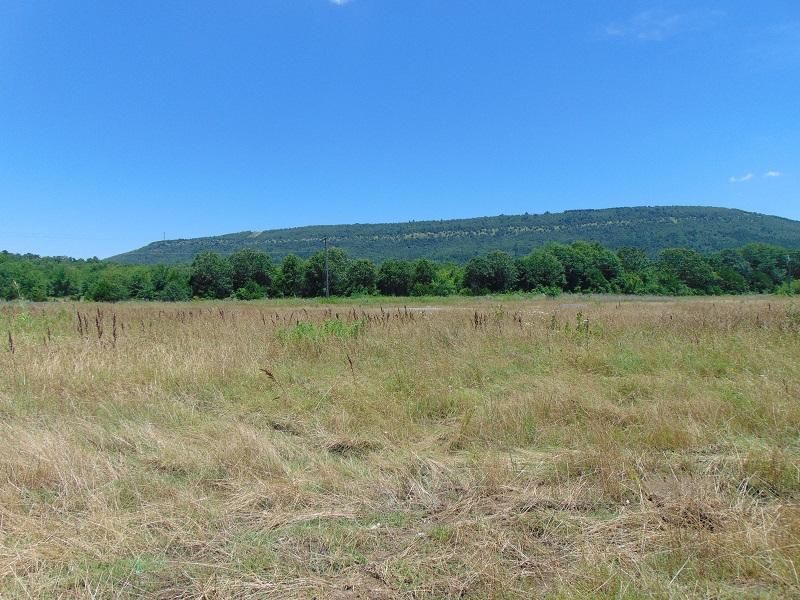 State Highway 128, Heavener, OK 74937 | Land and Farm