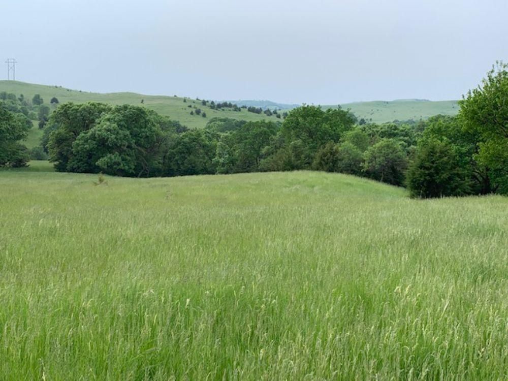 534.87 acres in Gross, NE, | Land and Farm