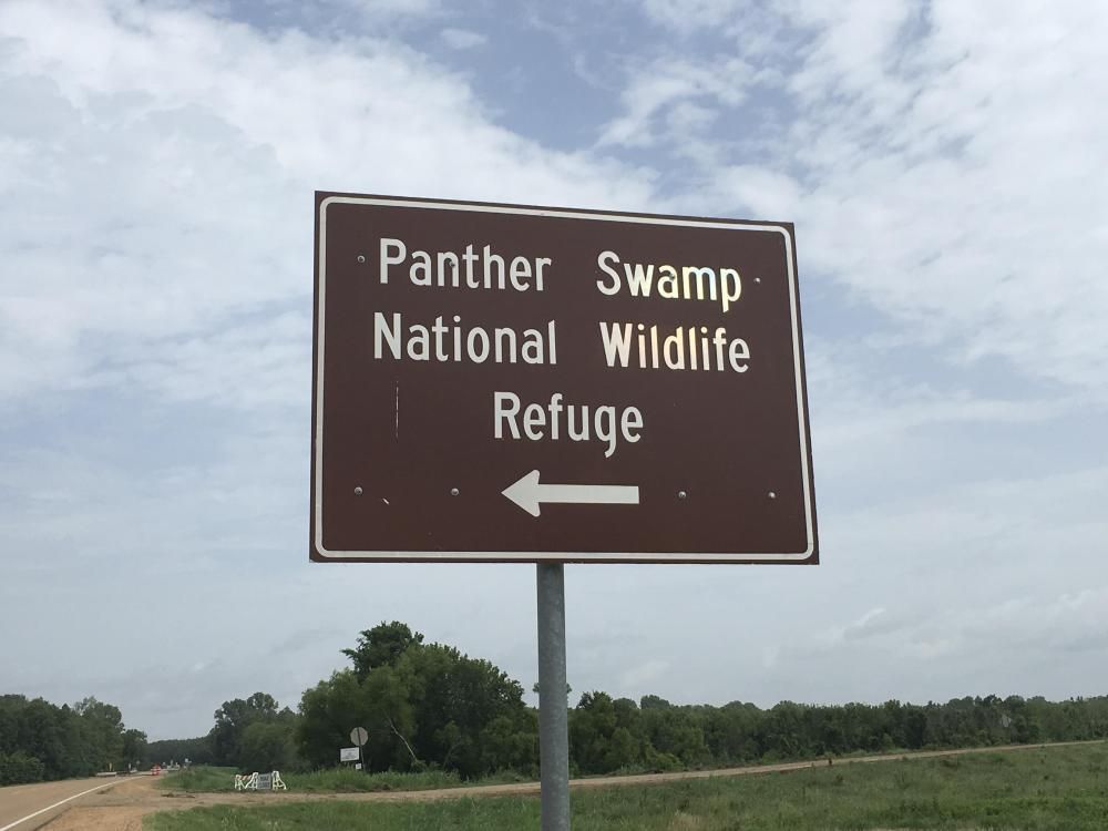 Whittington Levee Rd, Louise, MS 39097 | Land and Farm