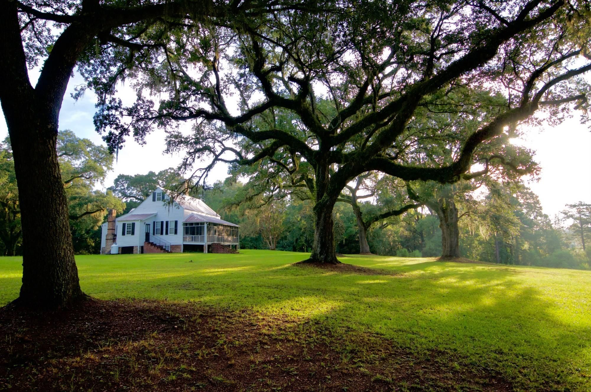 Irvin Chapel Road, Cordesville, SC 29434 | Land and Farm