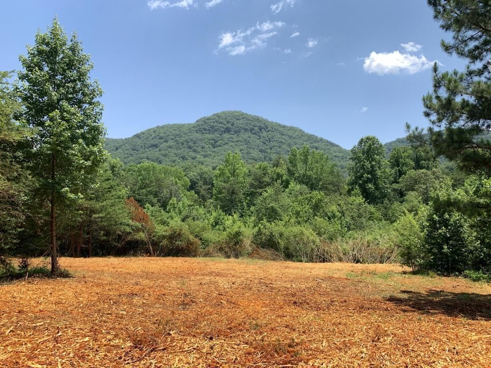 796 Cleo Chapman Hwy, Sunset, SC 29685 | Land and Farm