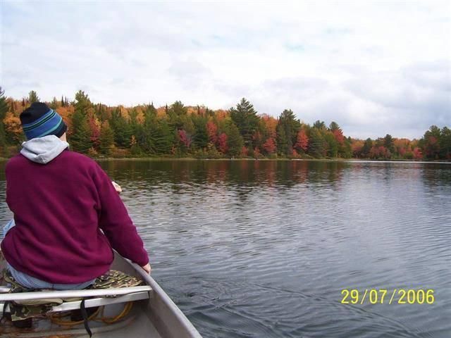 43A W Twin Lake Rd, Melstrand, MI 49884 | Land and Farm