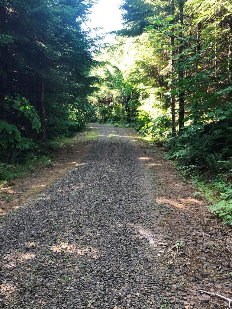 51680 NW Hayward Rd, Manning, OR 97125 | MLS: 20161430 | Land and Farm