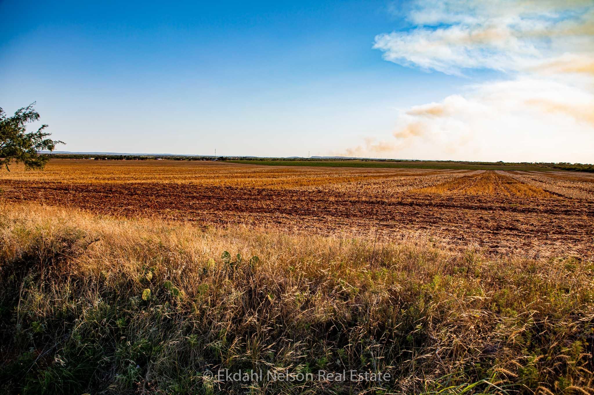 Farm to Market Road 1235, Merkel, TX 79536 | Land and Farm