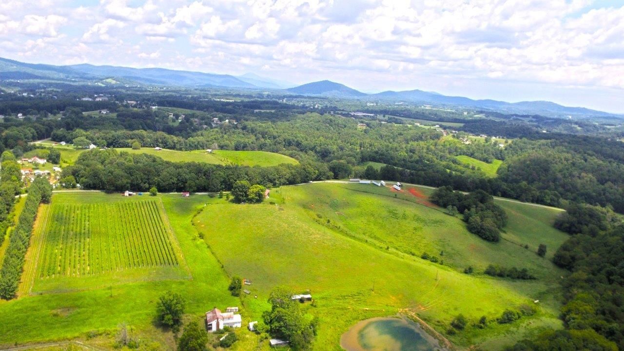 Turner Branch Road, Goodview, VA 24095 | MLS: 872353 | Land and Farm