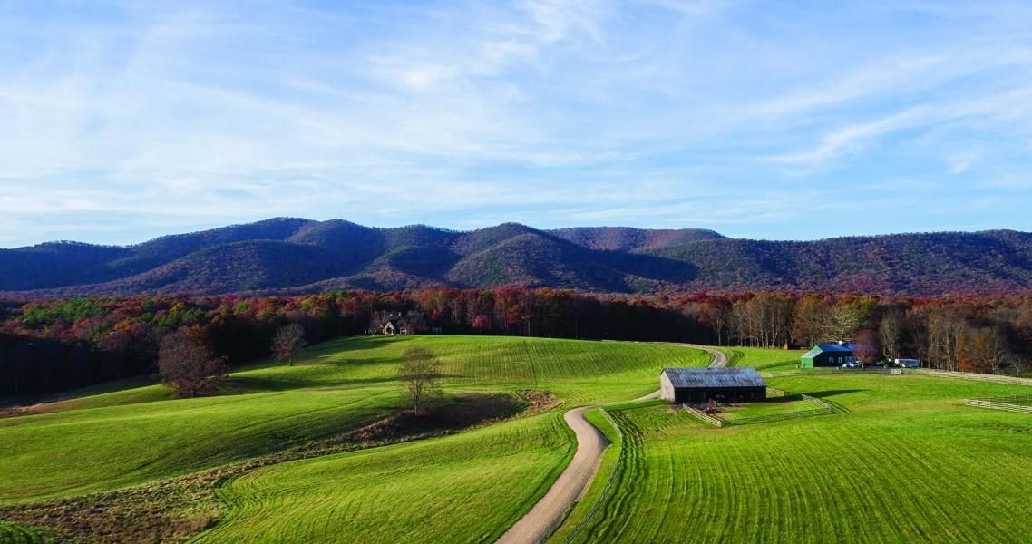 212 acres in Millboro, VA, 24460 | Land and Farm