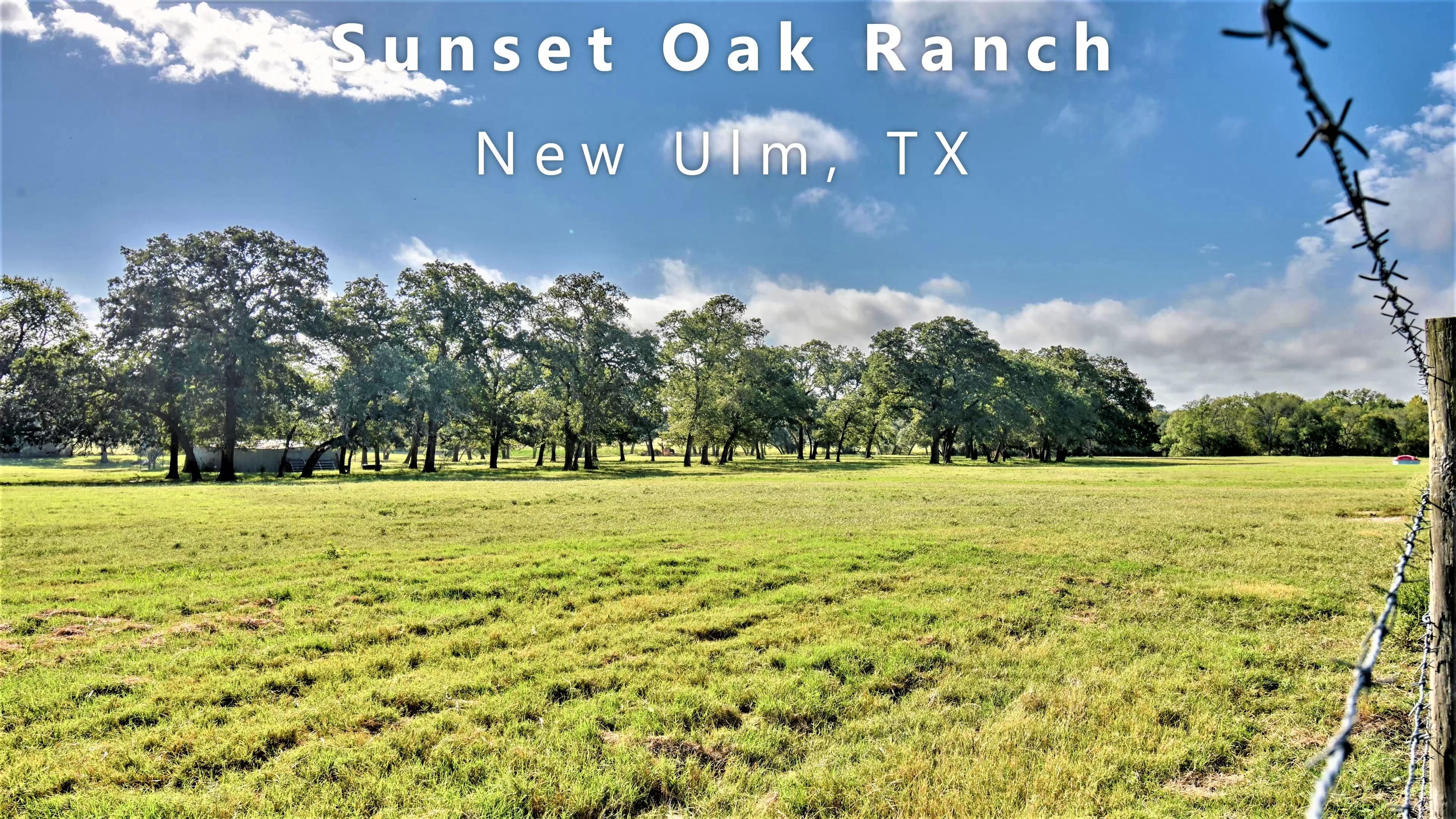 2230 Farm to Market Rd 1291, New Ulm, TX 78950 | MLS: 77820381 | Land ...