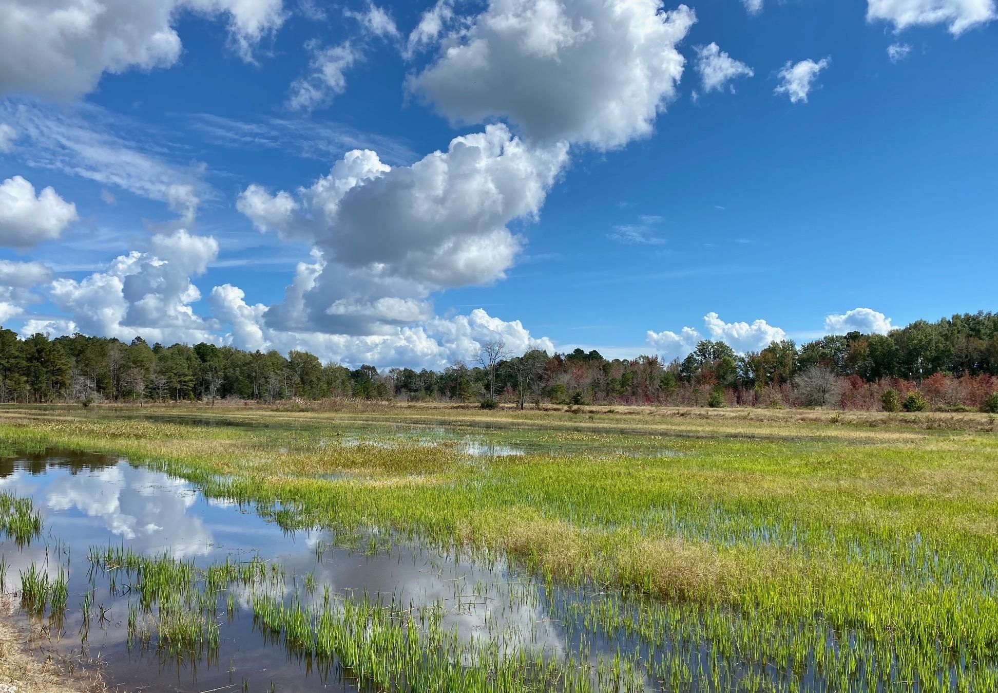 Liberty Hill Rd, Summerton, SC 29148 | Land and Farm