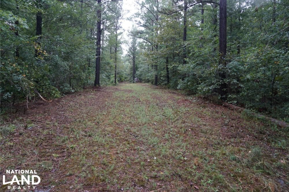 0 Romulus Road, Buhl, AL 35446 | Land and Farm