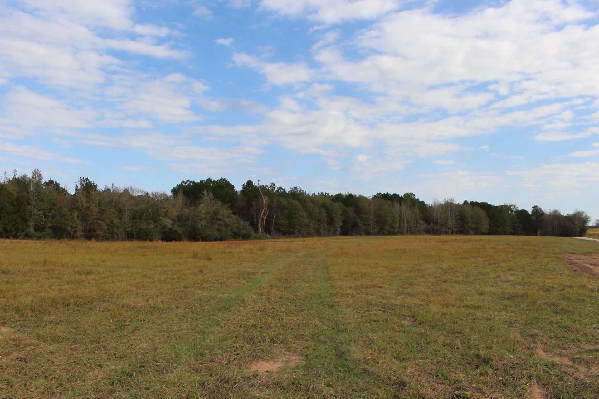 19+ Acres FM 1097 West, Montgomery, TX 77356 | MLS: 41488029 | Land and ...