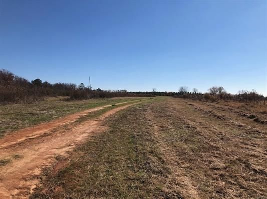 Meadows Orchard Road, Cochran, GA 31014 | MLS: 207083 | Land and Farm