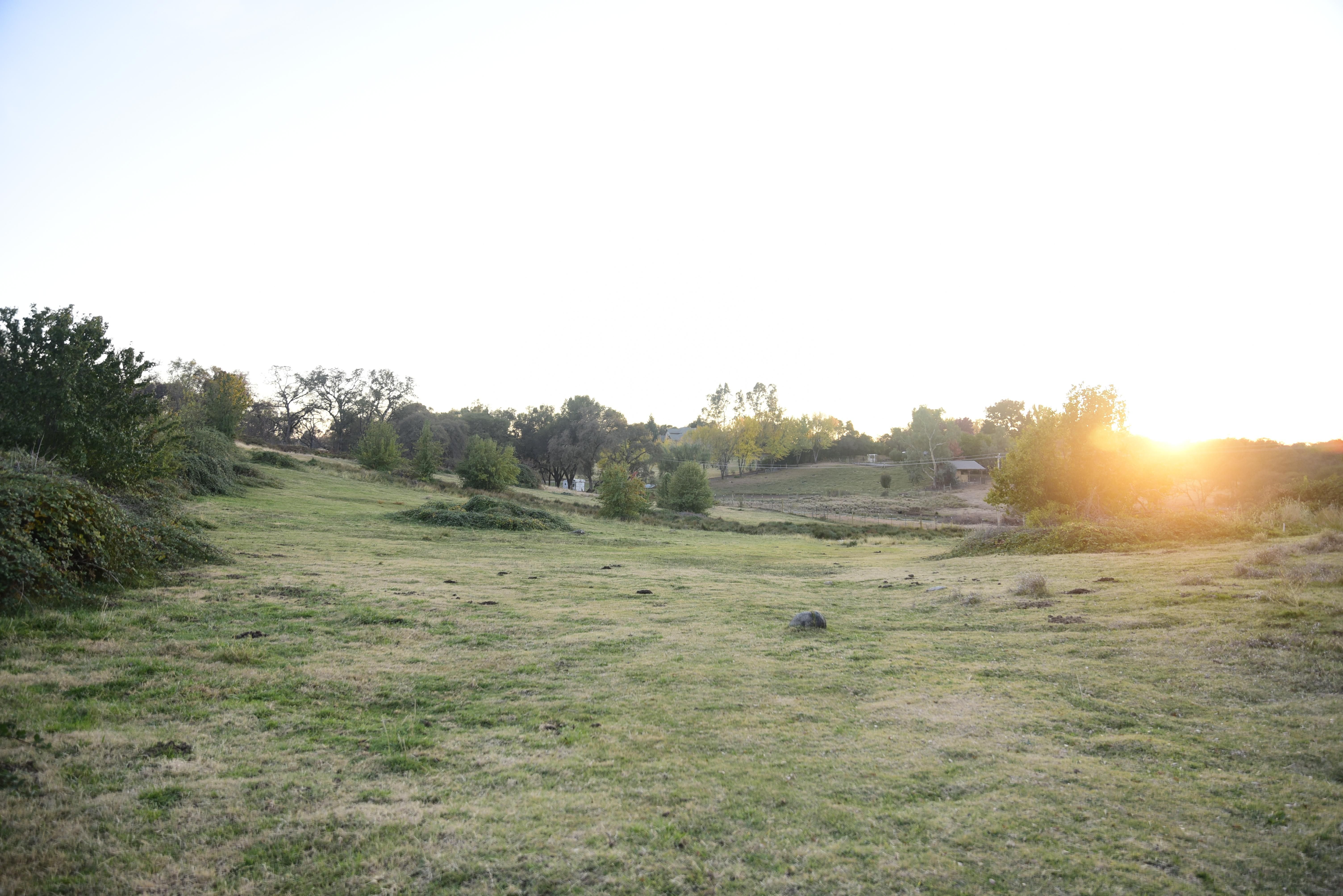 7647 Wise Road, Auburn, CA 95603 | Land and Farm