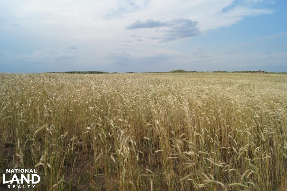 17259 US Hwy 64, Rosston, OK 73855 | Land and Farm