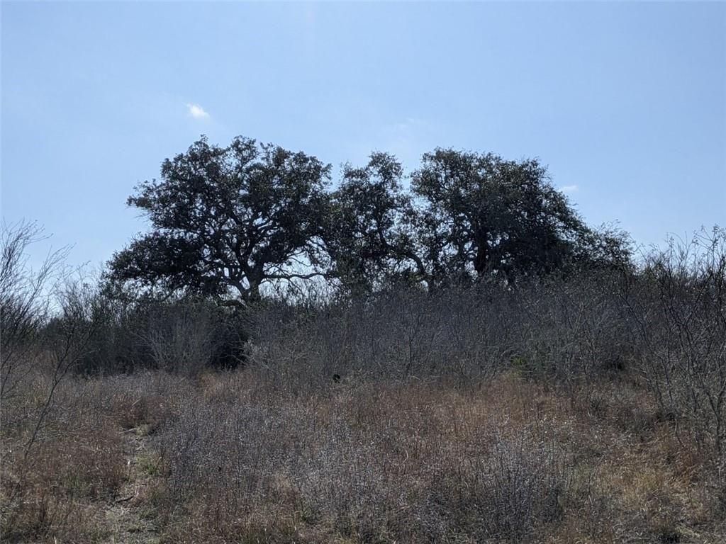 33.97 Acres, 0 CR 372, Sandia, TX 78383 | Land and Farm