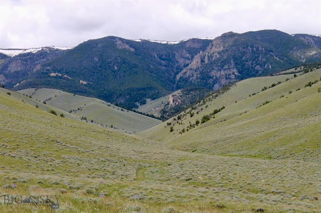 Freedom Trail, Belfry, MT 59068 | Land and Farm